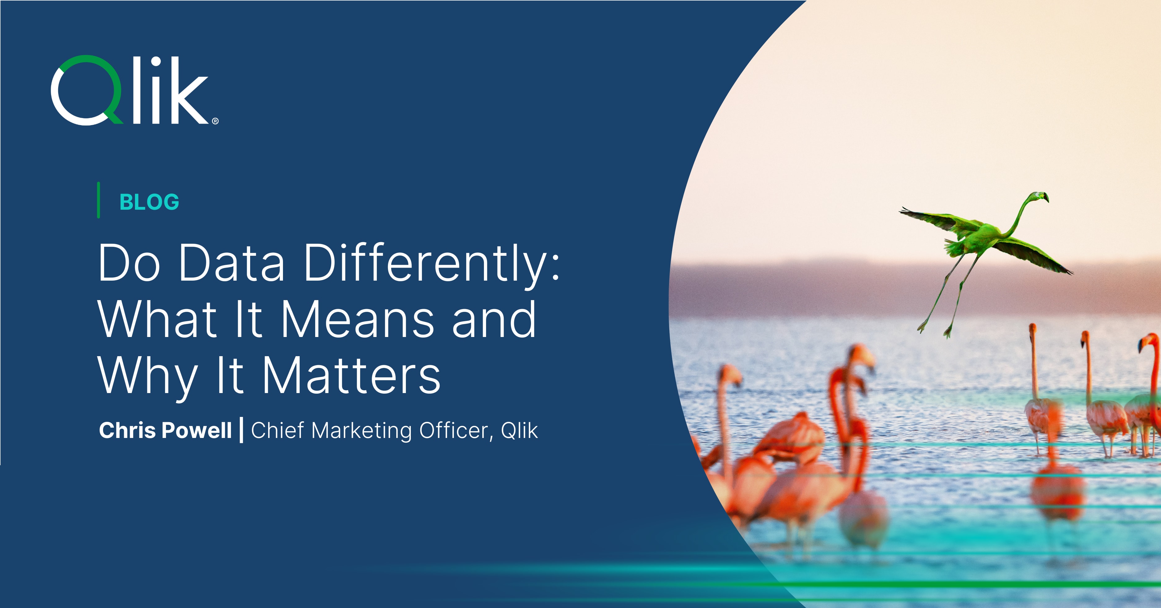 Do Data Differently: What It Means and Why It Matters | Qlik Blog
